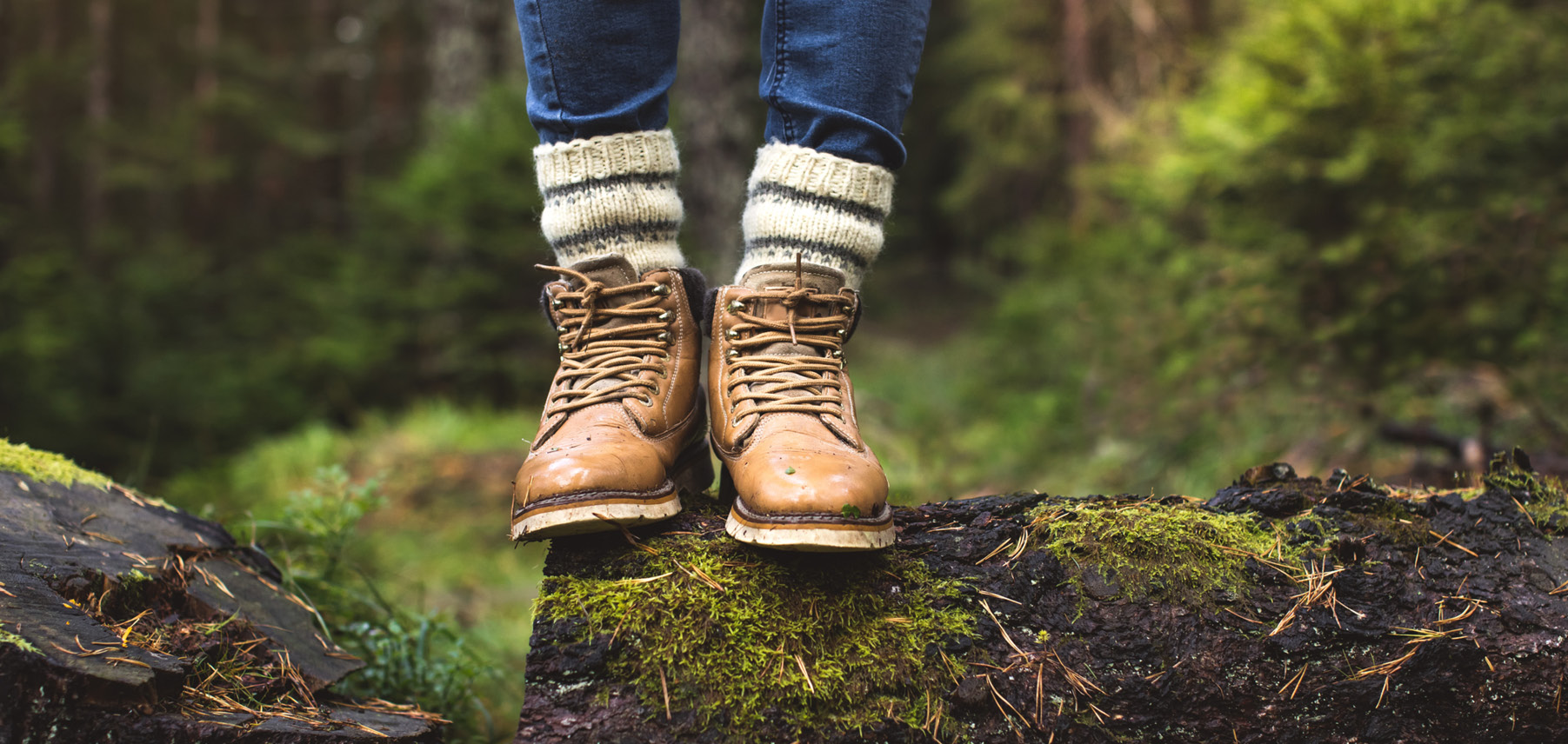 Book extract: The Dreaming Path - Law Society Journal